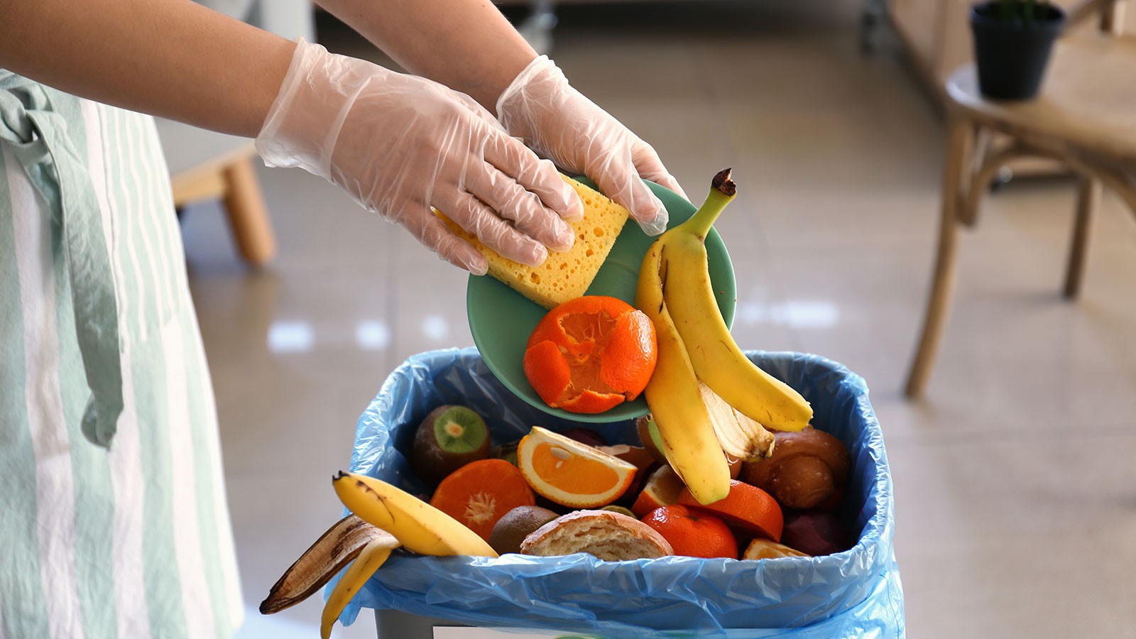 Food Waste at Home – Food Rescue Hero